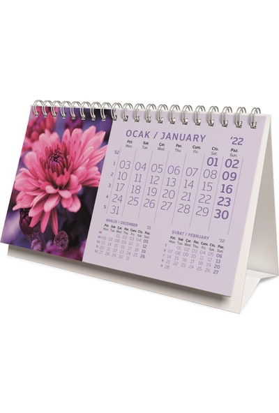 Gıpta 2022 Bristol Üçgen Masa Takvimi 9 x 17 ( 917-BRS )