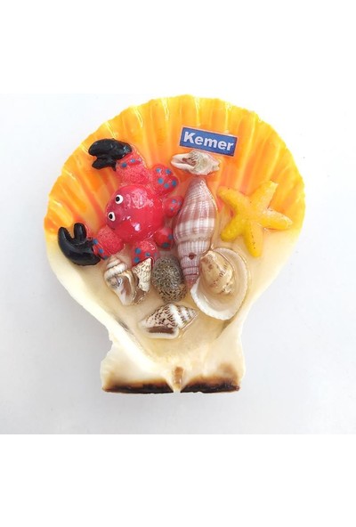 Hd Marketim Midye Deniz Yıldızı Balık Kaplumbağa Kemer Yazılı Deniz Kabuklu Buzdolabı Süsü Magnet 9392 Hd Marketim Midye Deniz Yıldızı Balık Kaplumbağa Kemer Yazılı Deniz Kabuklu Buzdolabı Süsü Magnet 9392
