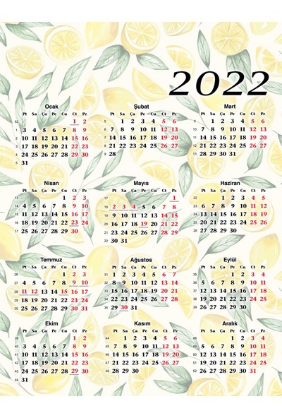 Tellgraf 2022 Duvar Takvimi Tellgraf 2022 Duvar Takvimi