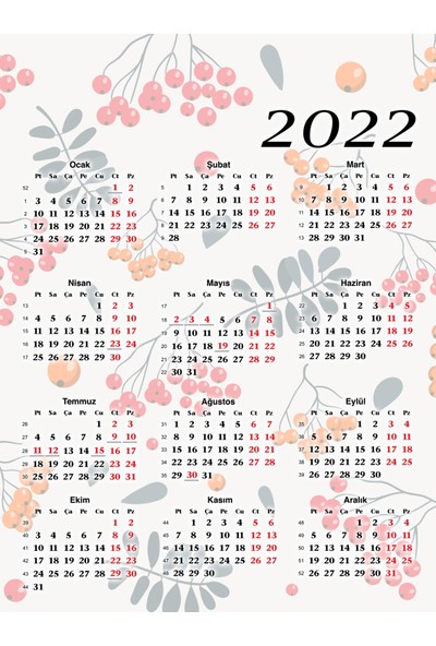 Tellgraf 2022 Duvar Takvimi