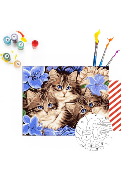 Tabdiko Boncuk Kediler Sayılarla Boyama Seti 40 x 50 cm Tabdiko Boncuk Kediler Sayılarla Boyama Seti 40 x 50 cm