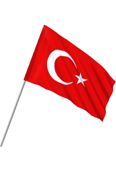 Vatan Sopalı Bez Bayrak - Miting Bayrağı 50 x 75 cm