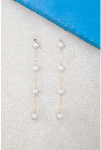 New Obsessions Sallanan Inciler Küpe