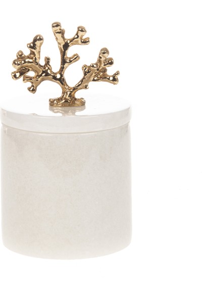 Marandmore Beyaz Pamukluk - Gold Mercan 8x9 cm Marandmore Beyaz Pamukluk - Gold Mercan 8x9 cm