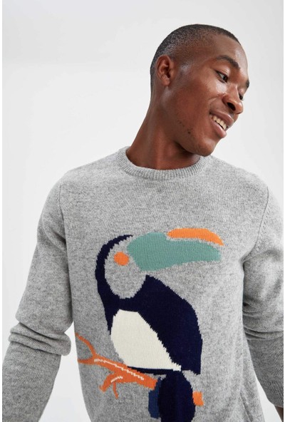 DeFacto Regular Fit Bisiklet Yaka Kuş Figürlü Yün Triko Kazak V3322AZ21WN