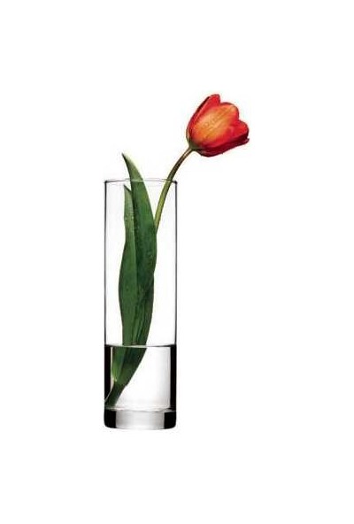 Paşabahçe 43767 Cam Vazo - Botanica Vazo 26 Cm.