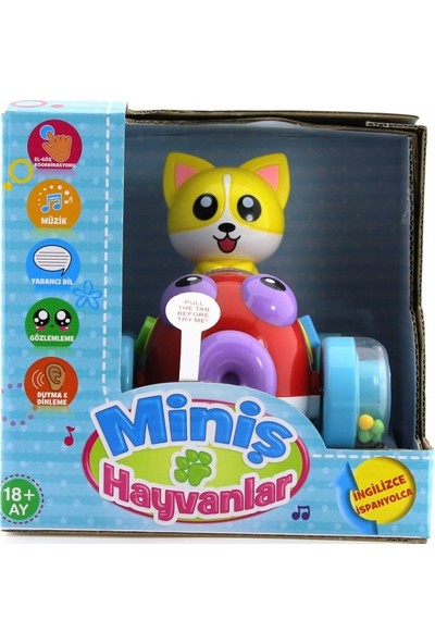 Mega Ingilizce ve Ispanyolca Konuşan Sevimli Kedi Mega Ingilizce ve Ispanyolca Konuşan Sevimli Kedi