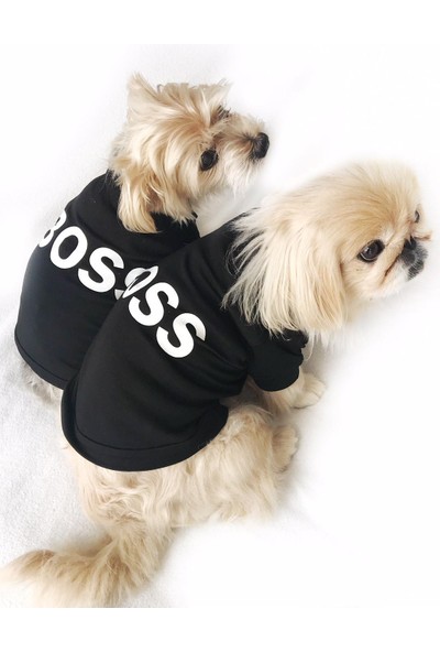 Boss Köpek Tişört