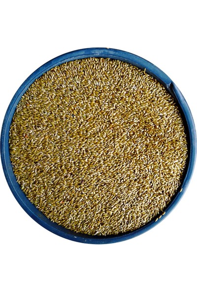 Bizim Yem Aspur Sade Kanarya Yemi - 1 kg