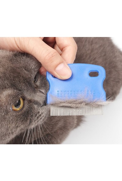 Zayrok Kedi Köpek Bit ve Pire Tarağı Zayrok Kedi Köpek Bit ve Pire Tarağı
