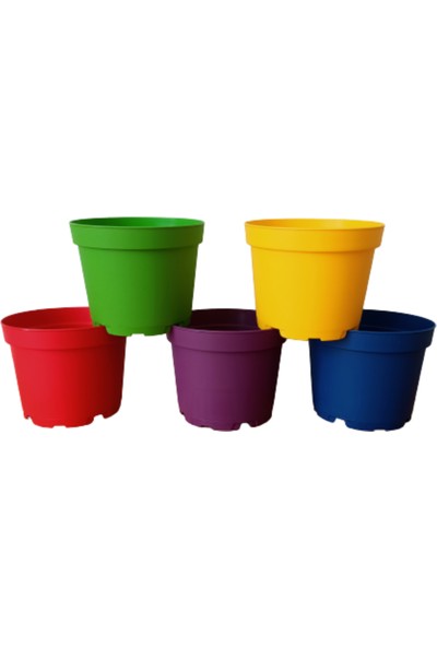 Tuğel Flowers 10 Adet Plastik 5 Renkli Kaktüs Üretim Saksısı (8.5 Cm.lik)