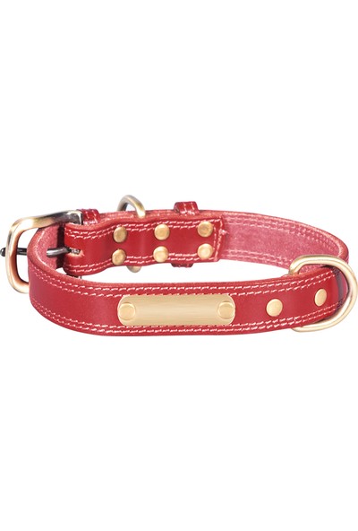 Eternal Yavru Köpek Için Ayarlanabilir Köpek Kolye (Yurt Dışından) Eternal Yavru Köpek Için Ayarlanabilir Köpek Kolye (Yurt Dışından)