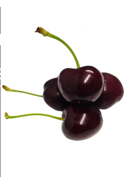 Sebze Meyve Dünyası Napolyon Kiraz 1 kg Sebze Meyve Dünyası Napolyon Kiraz 1 kg
