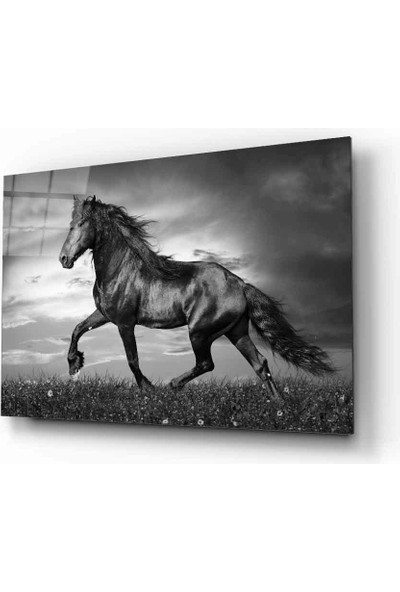 Dekorcum Dekorcumshop At Cam Tablo 4mm Dayanıklı Temperli Cam Dekorcum Dekorcumshop At Cam Tablo 4mm Dayanıklı Temperli Cam