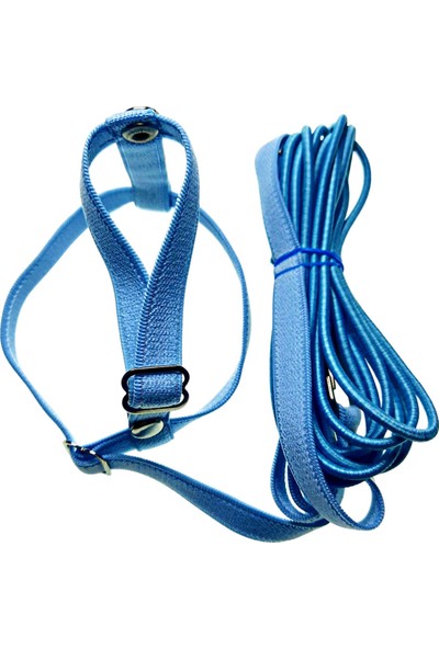 Petcalvit Sultan Papağan Eğitim Uçurma Tasması Bebe Mavisi Petcalvit Sultan Papağan Eğitim Uçurma Tasması Bebe Mavisi