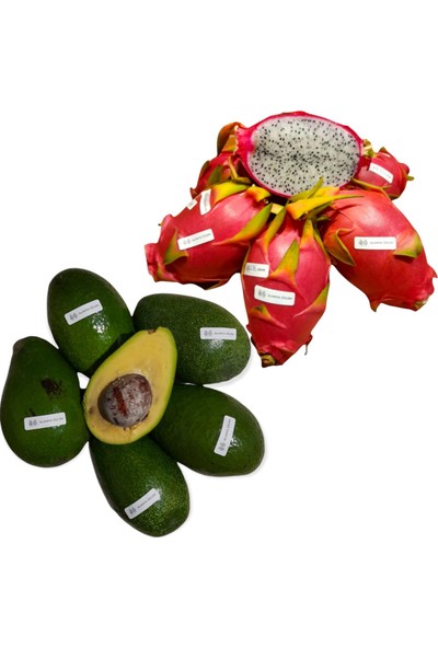 Alanya Özlem Avokado Dalından Taze Net En Az 1 kg (3 -6 Adet Arası) Ejder Meyvesi ( Beyaz Pitaya - Dragon Meyvesi ) Net ( 1 Kg) Alanya Özlem Avokado Dalından Taze Net En Az 1 kg (3 -6 Adet Arası) Ejder Meyvesi ( Beyaz Pitaya - Dragon Meyvesi ) Net ( 1 Kg)