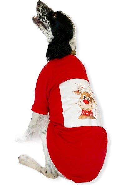 Kemique Cute Rudolph Büyük Irk Köpekler Tişörtü Xxxl Kemique Cute Rudolph Büyük Irk Köpekler Tişörtü Xxxl