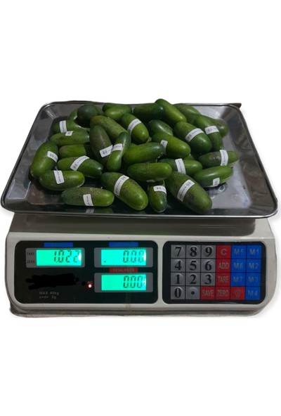 Alanya Özlem Bebek Avokado Çekirdeksiz Taze Dalından Net 1 kg Alanya Özlem Bebek Avokado Çekirdeksiz Taze Dalından Net 1 kg