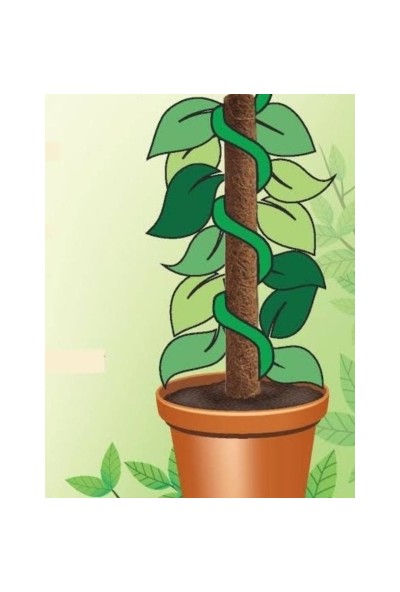 Bilen Bitki Destek Çubuğu Yosun Dekorlu 100CM Bilen Bitki Destek Çubuğu Yosun Dekorlu 100CM