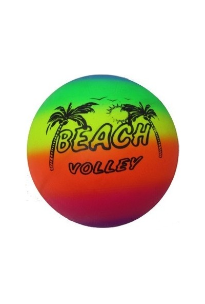 Güntaş Gökkuşağı Top 80 gr 334