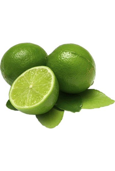 Sebze Meyve Dünyası Lime Limon 1 kg Sebze Meyve Dünyası Lime Limon 1 kg