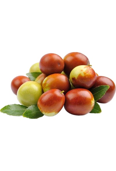 Sebze Meyve Dünyası Hünnap Küçük Boy Taze 1 kg Sebze Meyve Dünyası Hünnap Küçük Boy Taze 1 kg