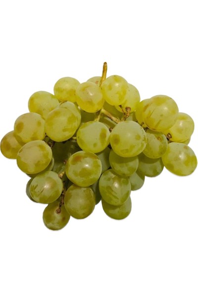 Sebze Meyve Dünyası Üzüm Müşküle 1 kg