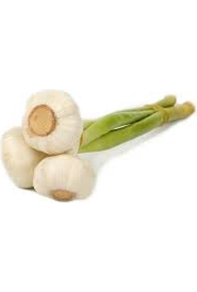 Sebze Meyve Dünyası Taze Baş Sarımsak Demet Sebze Meyve Dünyası Taze Baş Sarımsak Demet