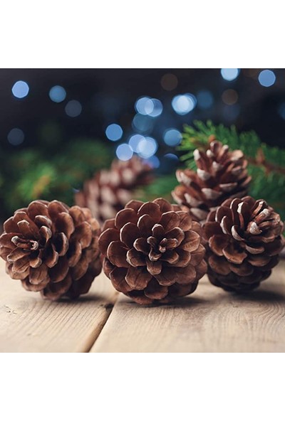 Ng Dizayn Yılbaşı Çam Ağacı Süsü Kozalak Altın 6 cm 6'lı