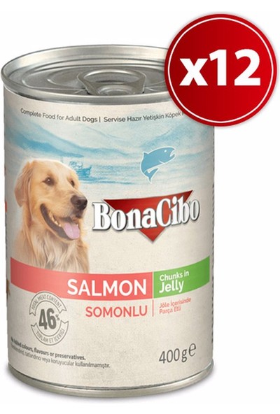 BonaCibo Jöleli Somonlu Yaş Yetişkin Köpek Maması 400 gr X12 Adet BonaCibo Jöleli Somonlu Yaş Yetişkin Köpek Maması 400 gr X12 Adet