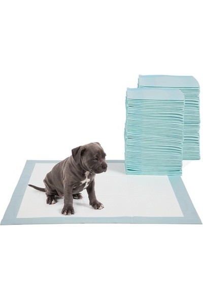 Evcil Hayvan Köpek Çiş Alıştırma Pedi Pedi Paws 30 Adet Evcil Hayvan Köpek Çiş Alıştırma Pedi Pedi Paws 30 Adet