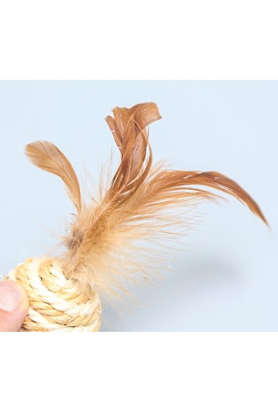 Evcil Hayvan Kedi Köpek Oyun Topu Tüylü Kedi Köpek Oyuncak