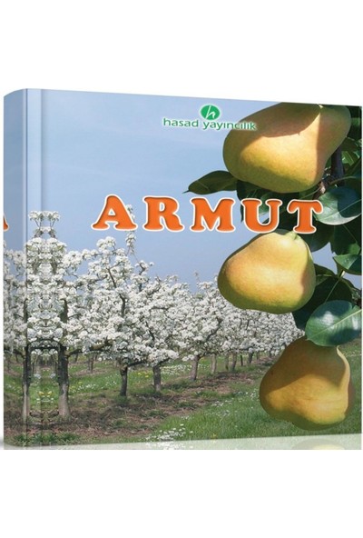 Armut Kitabı