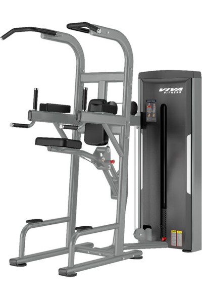 Diesel Fitness Evost Dip/chin Assist Diesel Fitness Evost Dip/chin Assist