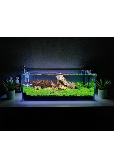 Aquaplant Full Spectrum Armatür 4 Renk Özel Akvaryum Aydınlatma 30CM Armatür 35-40-45CM Akv. Için Aquaplant Full Spectrum Armatür 4 Renk Özel Akvaryum Aydınlatma 30CM Armatür 35-40-45CM Akv. Için