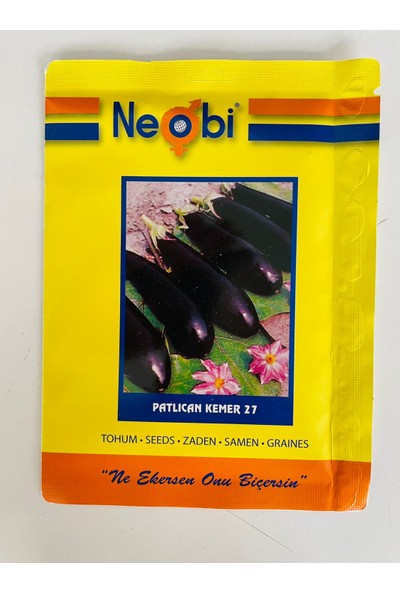 Neobi Patlıcan Kemer-27 10GR Neobi Patlıcan Kemer-27 10GR