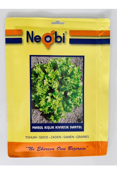 Neobi Marul Kıvırcık Dantel 10GR Neobi Marul Kıvırcık Dantel 10GR