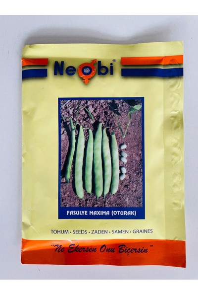 Neobi Tohumculuk Fasulye Maxima (Oturak) 50GR Neobi Tohumculuk Fasulye Maxima (Oturak) 50GR