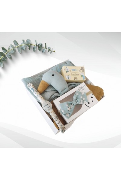 Işıldayan Kutular Hello Baby Girl Bebek