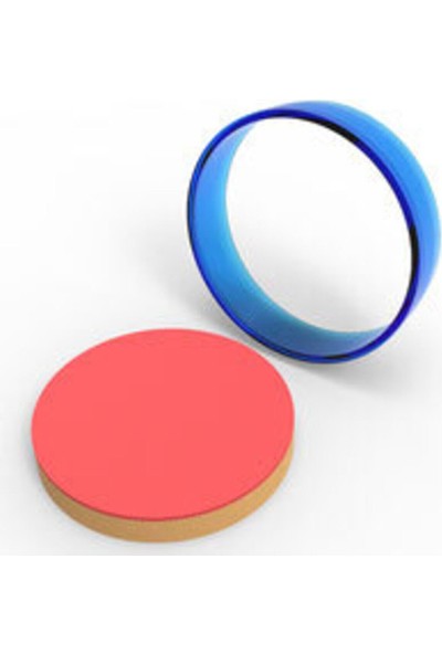 Pasta Works Yuvarlak polikarbon Kopat Kurabiye Kalıbı Pasta Works Yuvarlak polikarbon Kopat Kurabiye Kalıbı