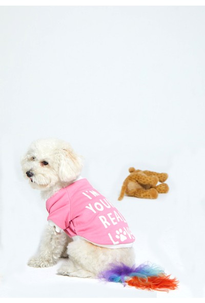 Ponchic Baskılı Kedi Köpek Sweatshirt Pembe 3xl Ponchic Baskılı Kedi Köpek Sweatshirt Pembe 3xl