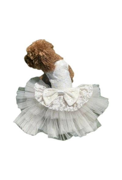 Aria Pet Butik Köpek Kedi Gelinlik Aria Pet Butik Köpek Kedi Gelinlik