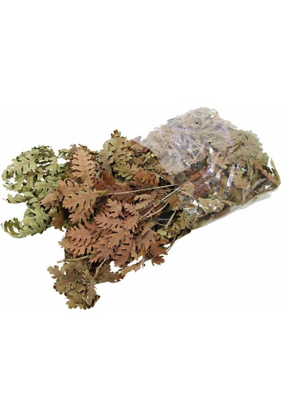 Dekorsende Kurutulmuş Meşe Yaprağı Turuncu 220 gr