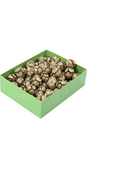 Dekorsende Kutuda Selvi Kozası Altın 800 gr Dekorsende Kutuda Selvi Kozası Altın 800 gr