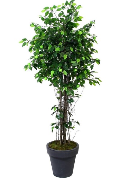 Dekorsende Yapay Mini Elma Ağacı Yeşil 170 cm Dekorsende Yapay Mini Elma Ağacı Yeşil 170 cm