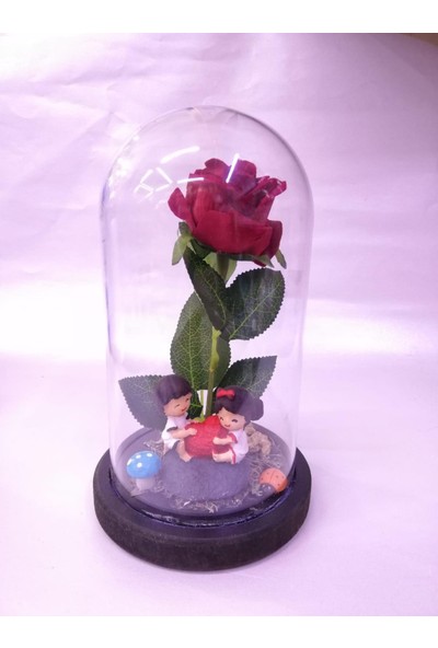 Teraryum Fanus Sevgili Model Dekoratif Hediyelik