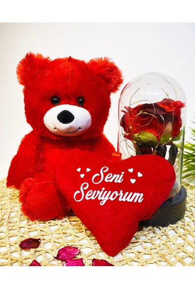 Essa Hediye Bobo Seni Seviyorum Hediye Seti& LED Işıklı Fanus Içinde Gül