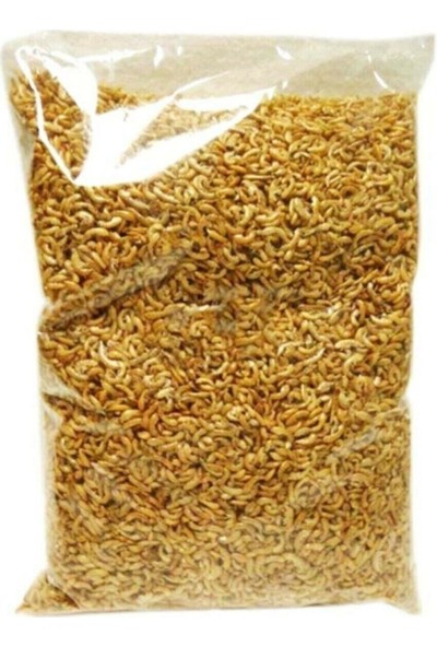 Hanımeli Pet Store Gammarus (Karides) Balık ve Kaplumbağa Yemi 50GR Hanımeli Pet Store Gammarus (Karides) Balık ve Kaplumbağa Yemi 50GR