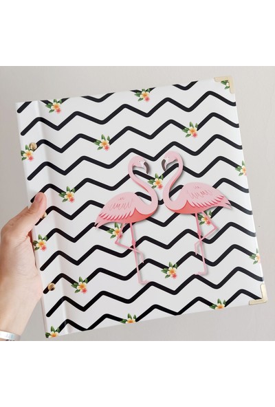 Selikopiti Flamingolu Fotoğraf Albümü Selikopiti Flamingolu Fotoğraf Albümü