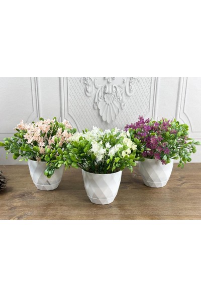 Nettenevime Yapay Çiçek Beyaz Saksıda 3ADET Pudralı Yasemin Çiçeği Masa Üzeri Dekoratif Bitki TY238 Nettenevime Yapay Çiçek Beyaz Saksıda 3ADET Pudralı Yasemin Çiçeği Masa Üzeri Dekoratif Bitki TY238